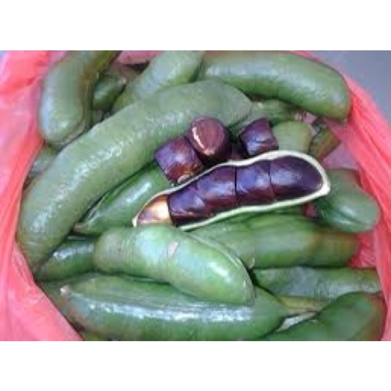 200g kerdas berkulit sedap ulam makan dengan ikan rebus | Shopee Malaysia