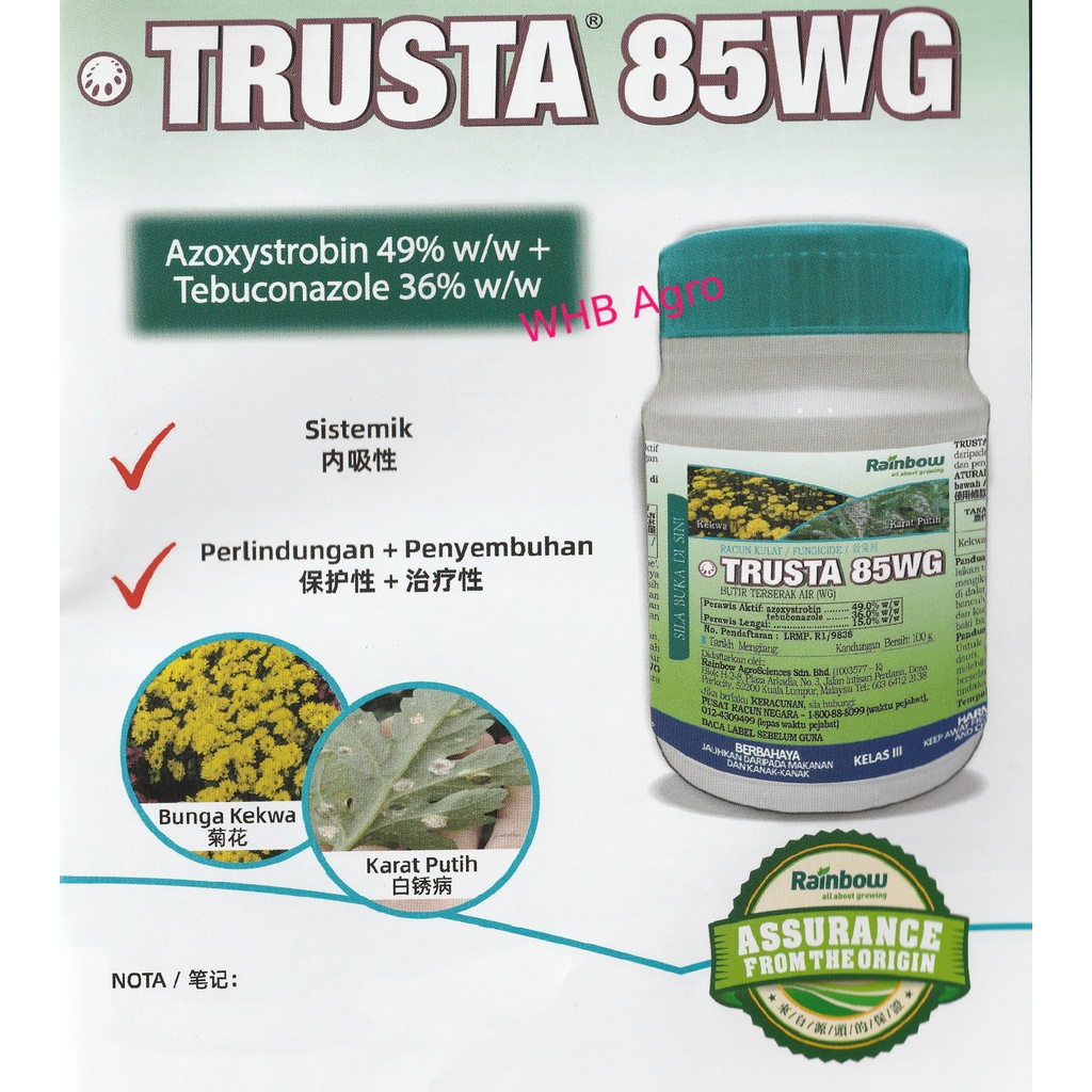 Rainbow Trusta 85 WG - ( 100g ) 👍 💯 | Shopee Malaysia