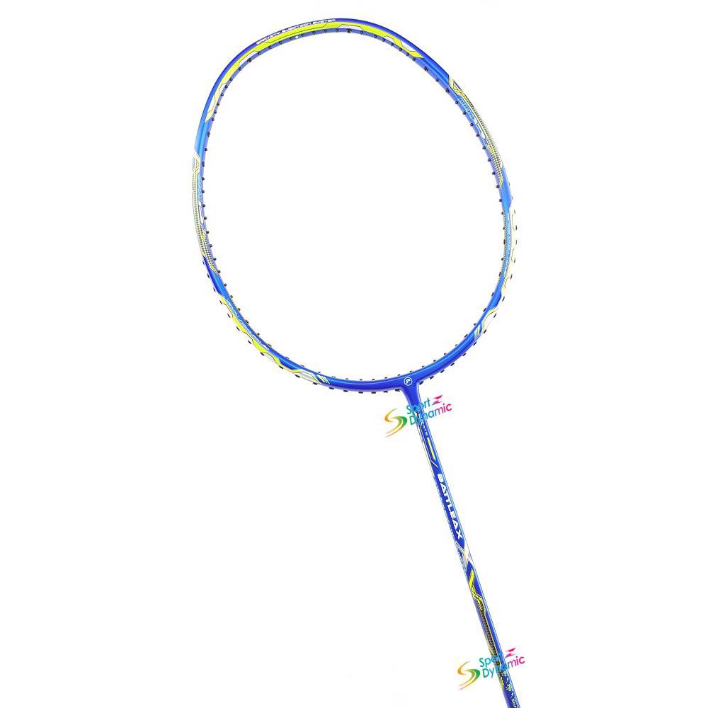 PROTECH BATTLEAX X BADMINTON RACKET | Shopee Malaysia