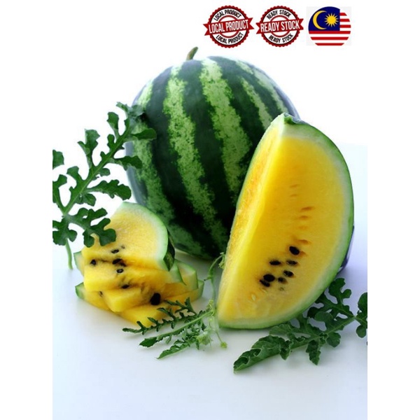 10 BIJI BENIH TEMBIKAI KUNING F1 HYBRID.YELLOW WATERMELON SEED ...