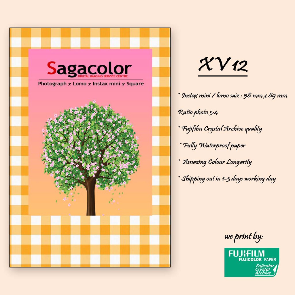 Lomo Print @ Saiz(10-100pcs)(XV 12 Frame) | Shopee Malaysia