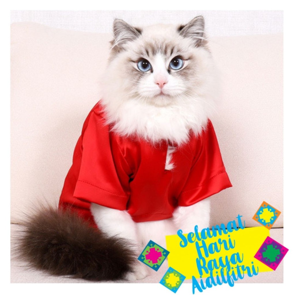 Baju Melayu Kucing Baju Kurung Kucing baju Raya kucing | Shopee Malaysia