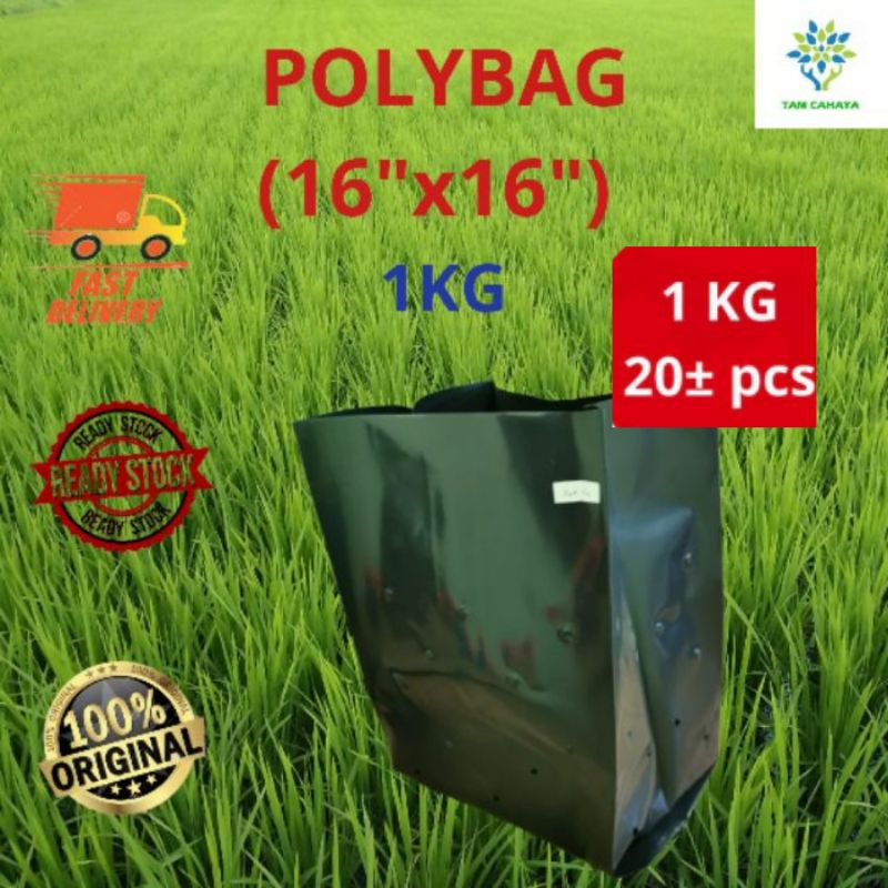1kg 16x16 Polybag Thick Polibeg Hitam Tebal Nursery Plantation Bag UV ...