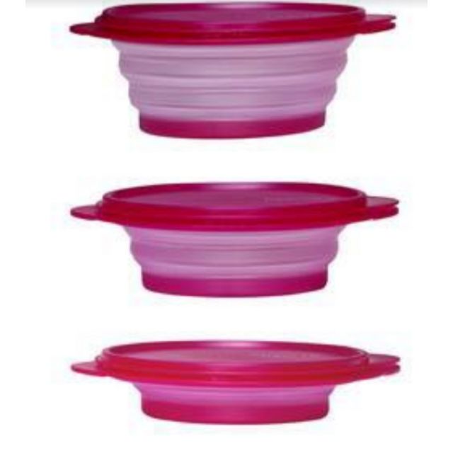Tupperware Collapsible Container | Shopee Malaysia