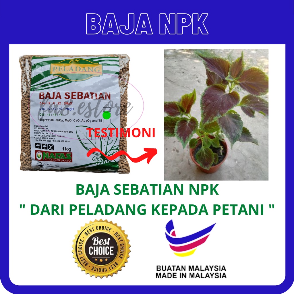 PROMOSI BAJA - Baja Buah, Baja Sayur, Baja Bunga, Baja Murah, Baja ...