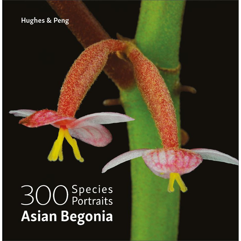 Asian Begonia 300 species portraits (Paperback/Hardcover) | Shopee Malaysia