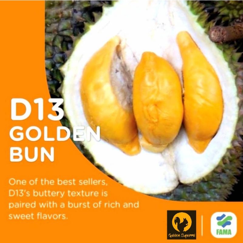 [KLANG VALLEY ONLY] GOLDEN BUN D13 DURIAN PULP @ ECO FARM FRESH FRUIT ...