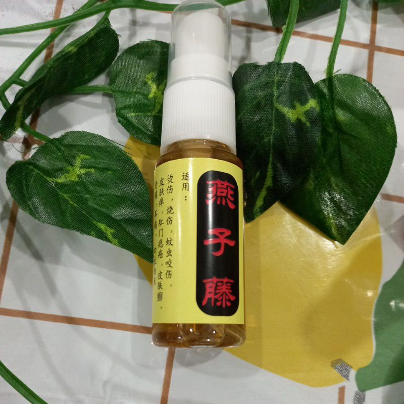 🐥燕子藤藥酒 20ml Diabetic Wound healing spray herbal leaf, daun herba ubat ...