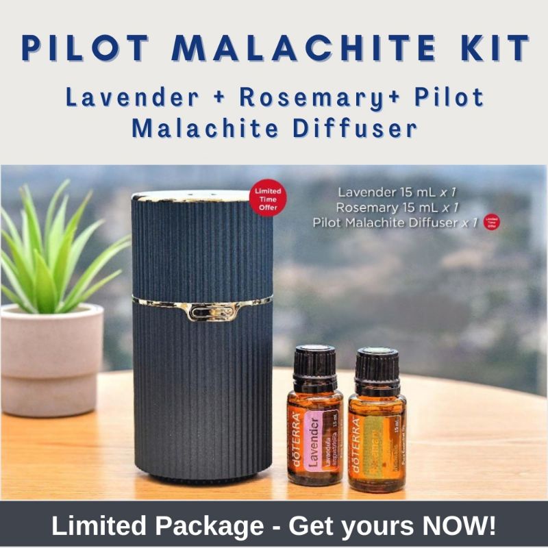 pilot Diffuser - Pilot Midnight Kit / Pilot Malachite Kit | Shopee Malaysia