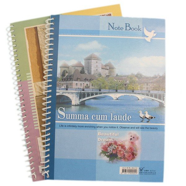 25k Loose-Leaf Notebook Golden Eagle (Horizontal Line)/One Book B5 ...