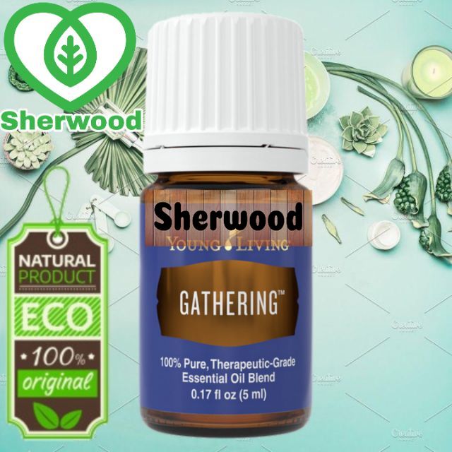 [Cheapest Ready-Stock] Young Living Gathering Essential Oil YL (5 ml ...
