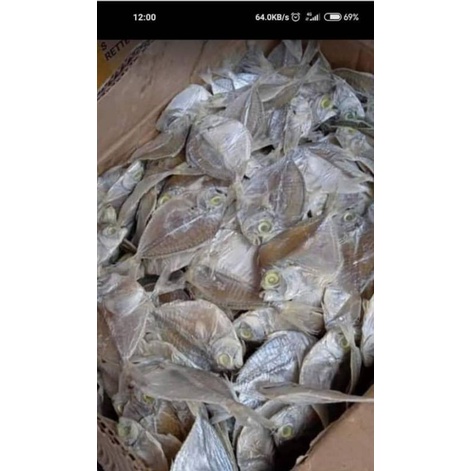 Ikan masin dodok 1kg | Shopee Malaysia