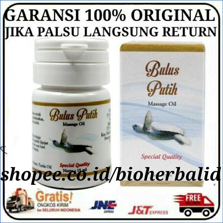 Original! The Best White Bulus Oil / Breast Enlargement / Facial ...