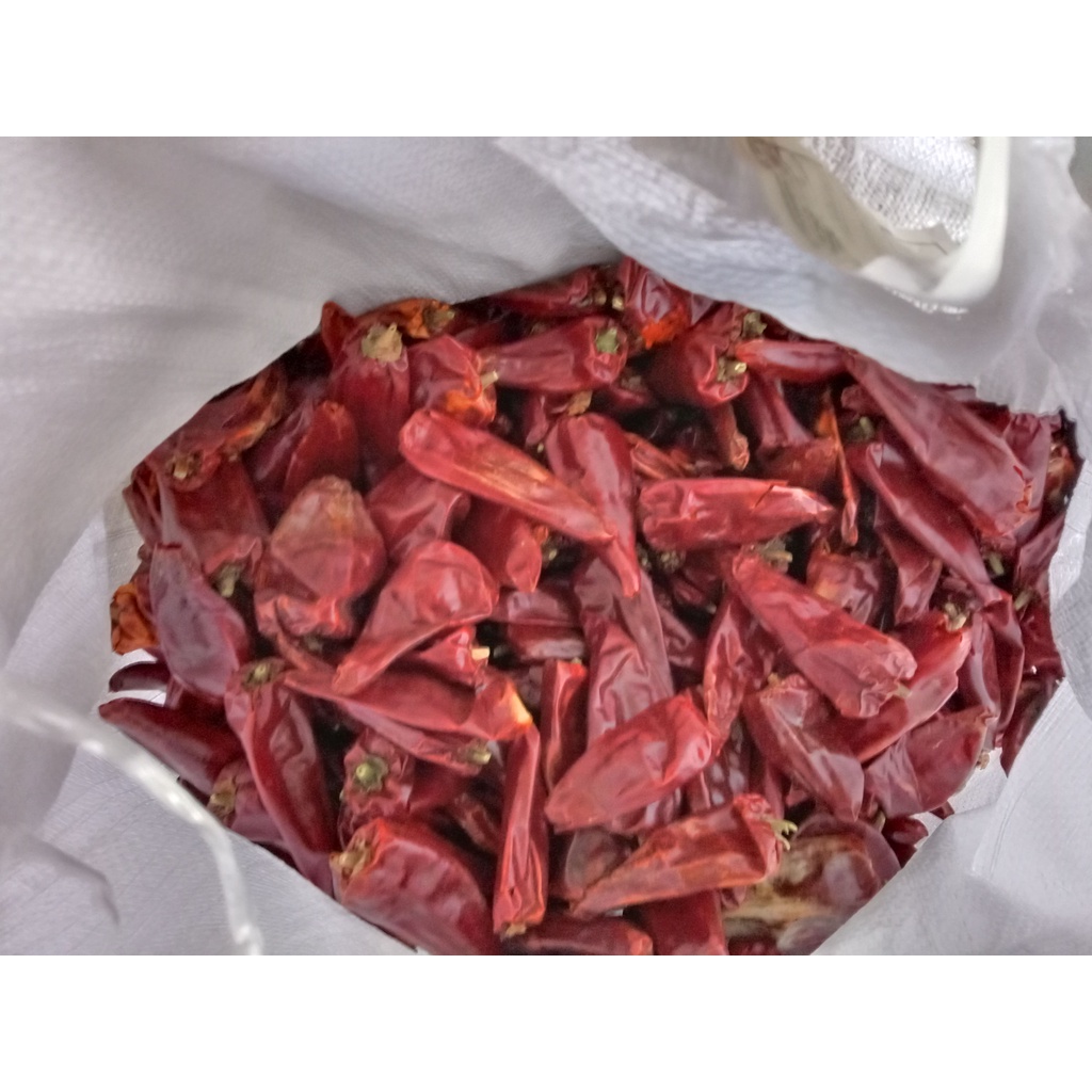 Lada Kering Besar (tak pedas) 500g | Shopee Malaysia