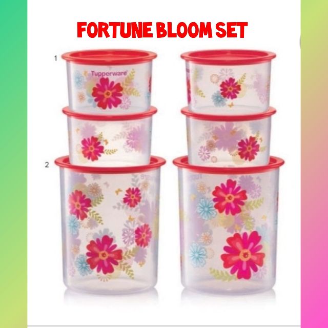💥💥 Tupperware Fortune Bloom | Shopee Malaysia