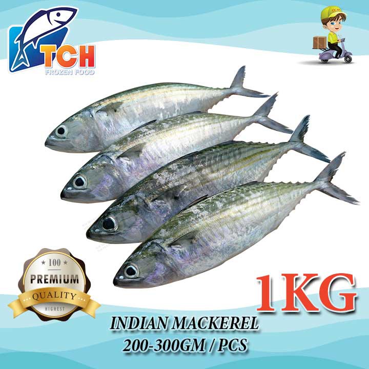 IKAN KEMBONG, INDIAN MACKEREL , TCH FROZEN FOOD, FRESH FROZEN SEAFOOD ...