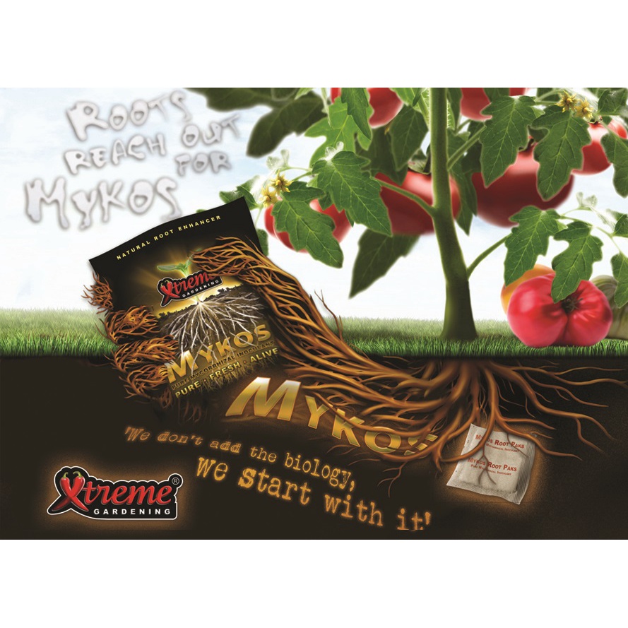 10 packs 100g MYKOS Pure Mycorrhizal Fungi Penggalak Akar Tumbuhan ...