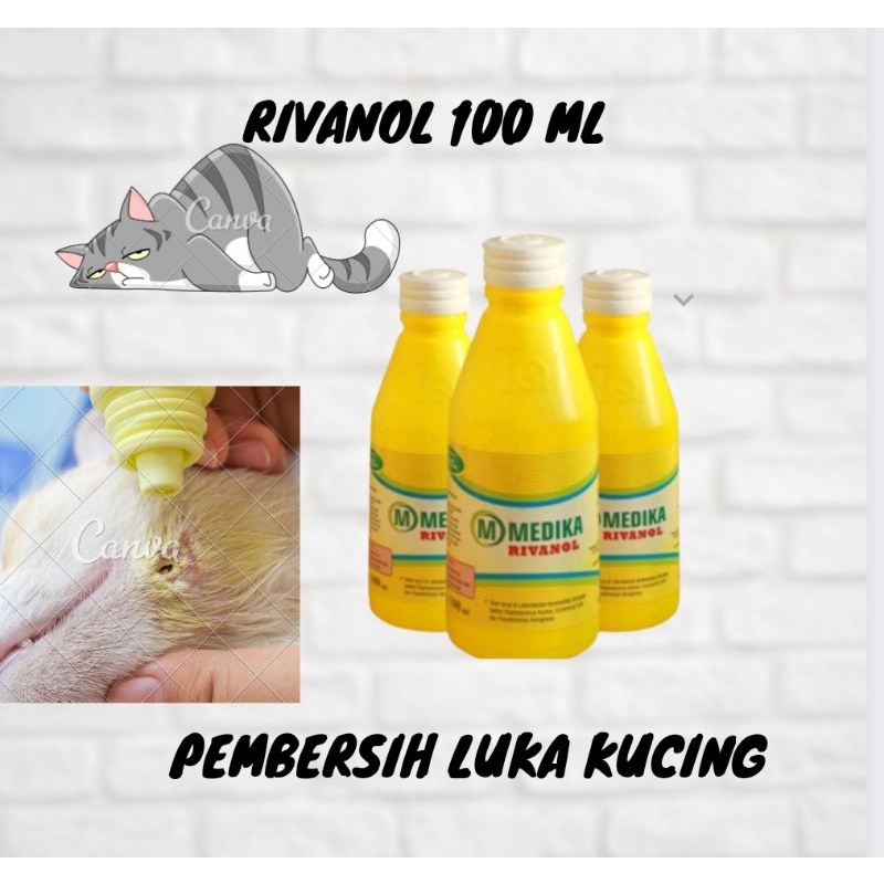 Rivanol 100ml Antiseptic Liquid-Cat Wound Medicine - Antiseptic Liquid ...