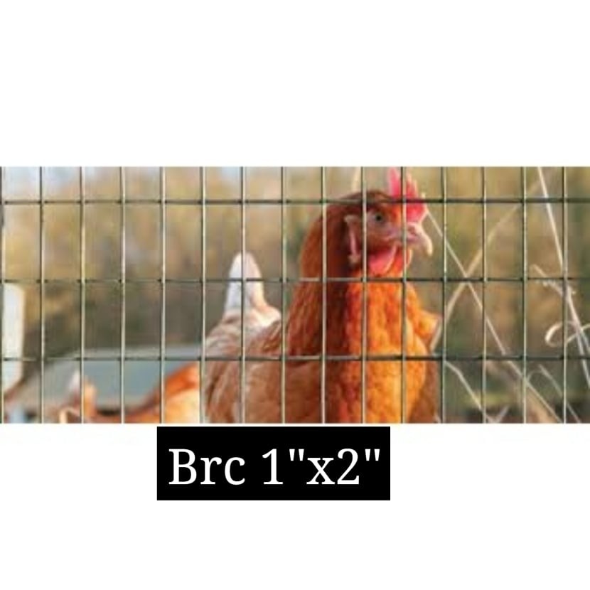 [Ready Stock] 4Ft Galvanized BRC Welded Iron Wire Mesh Net Netting ...