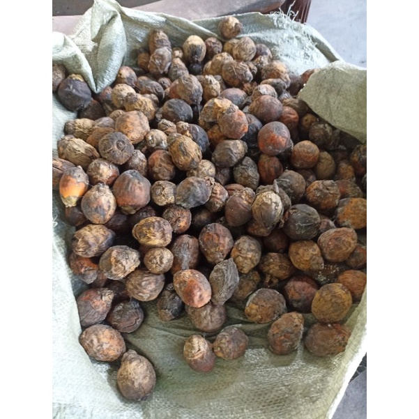 Buah pinang kering bersama Kulit 1kg | Shopee Malaysia