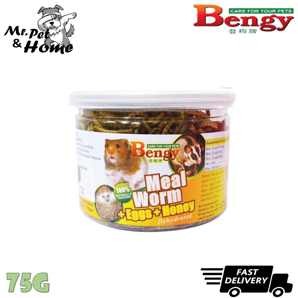 (READY STOCK)Bengy Meal Worm / Mealworm 75g （+Eggs +Honey）Hamster Food ...