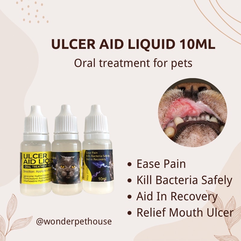 Ulcer Aid Liquid 10ml (Oral Treatment for Pet) | Shopee Malaysia