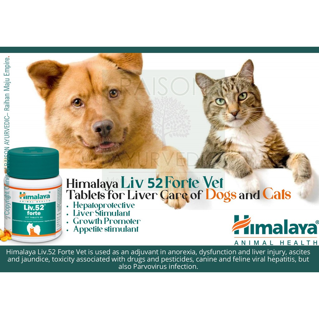 Himalaya Liv 52 Forte Vet Tablets for Liver Dogs and Cats 60 Tb ...
