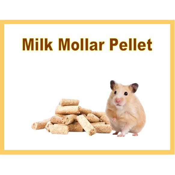 [Pawster] [MOLLAR] HAMSTER MOLLAR LAB DIET BLOCK WITH MILK FLAVOR - 5GM ...