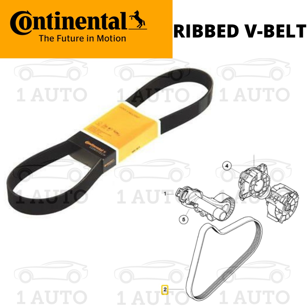 CONTINENTAL GERMANY RIBBED V-BELT MINI COOPER R56 CLUBMAN R55 CABRIO ...