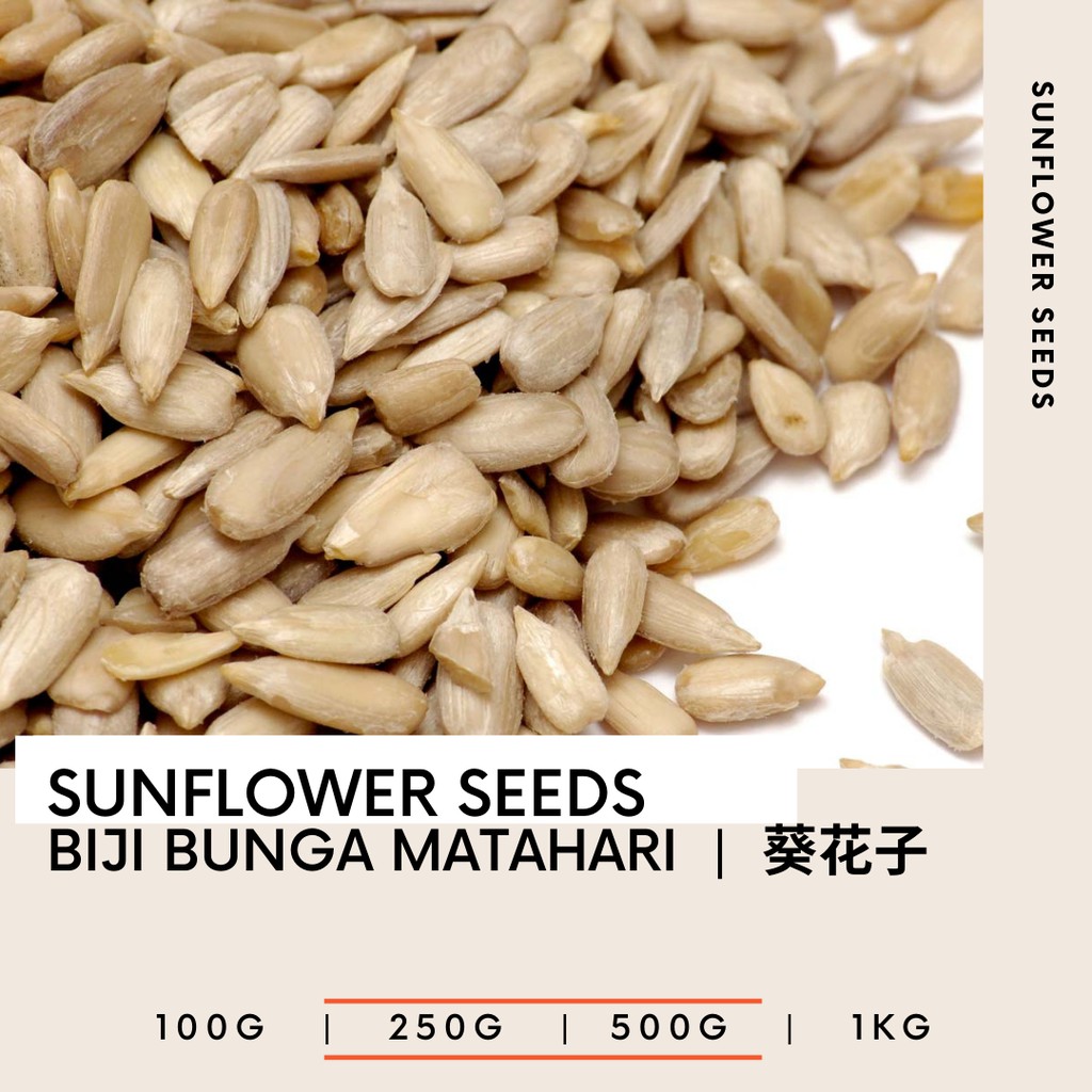[RAW] Sunflower Seeds | Biji Bunga Matahari | 葵花子 | Shopee Malaysia