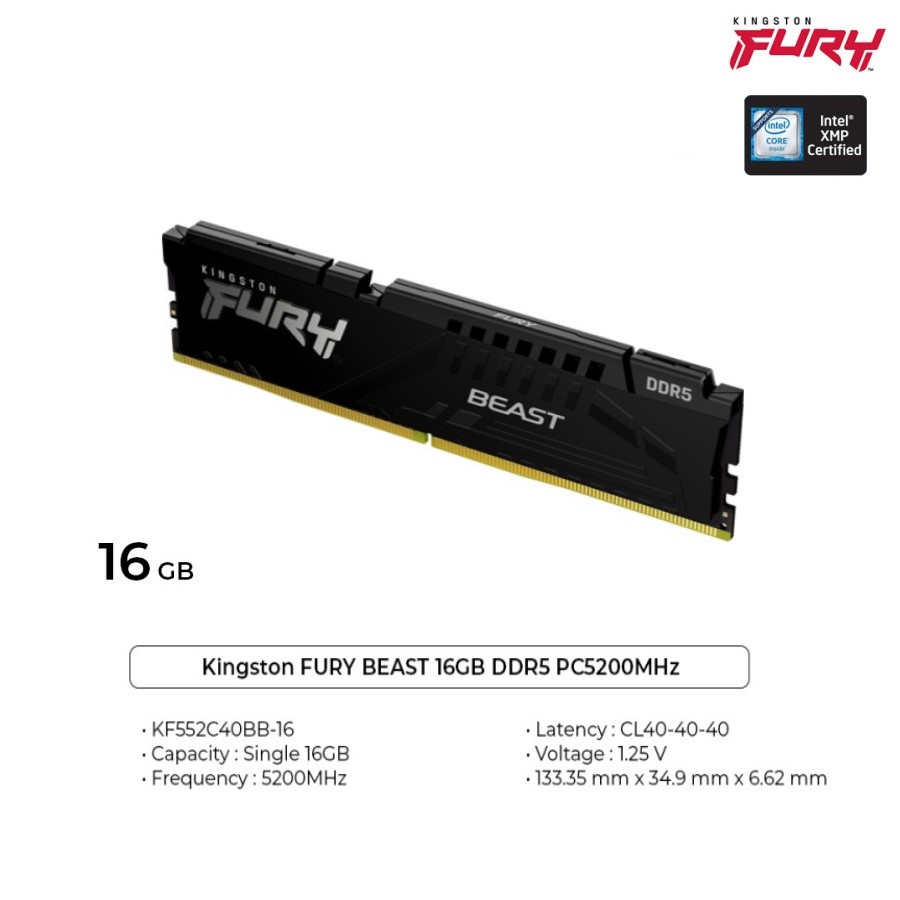 Kingston FURY Beast DDR5 1x16GB 5200MHz - KF552C40BB-16 CL40 | Shopee Malaysia