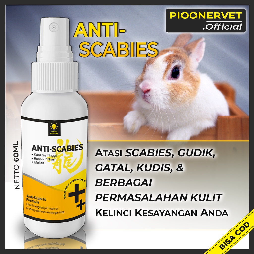 Anti SCABIES Rabbit SCABIES Medicine Rabbit Gudic Medicine Itching Cat ...