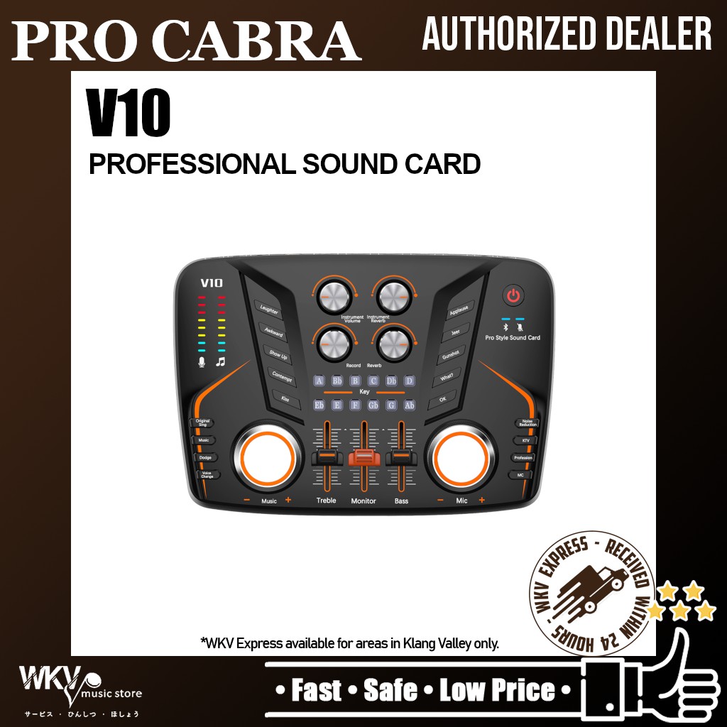 Pro Musical Sound Card V10 Audio Interface Home Studio Recording ...