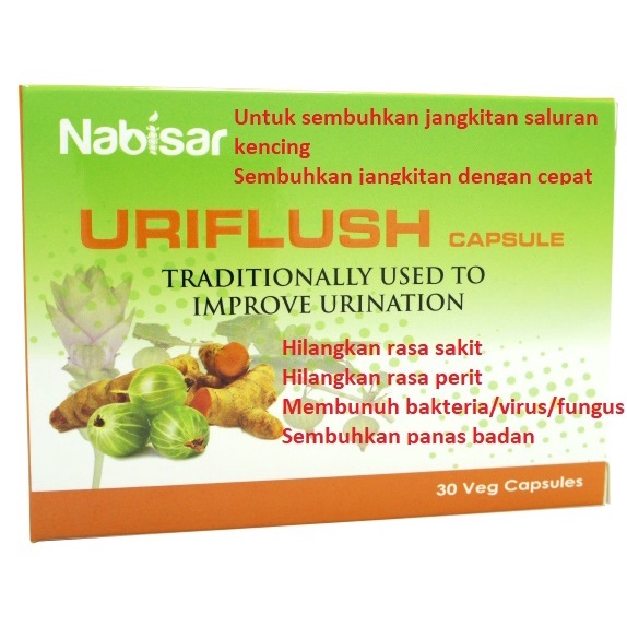 UriFlush Rawat UTI | Treat Urinary Tract Infection | Rawat Jangkitan ...