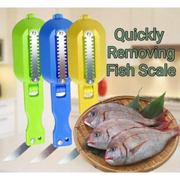 Quickly Removing Scale Fish Cleaner Fish Scale Cleaner Fish Scale ...
