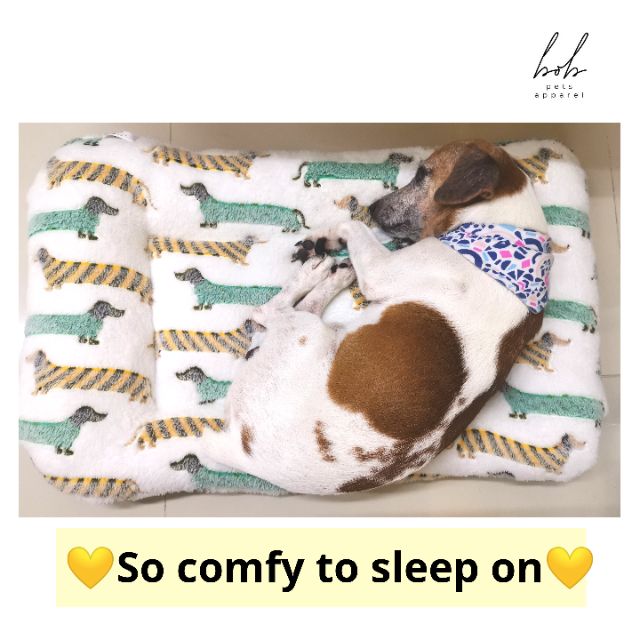 💛🐶 2 Sided Pet Bed for dogs and cats |🇲🇾 Handmade | Shopee Malaysia