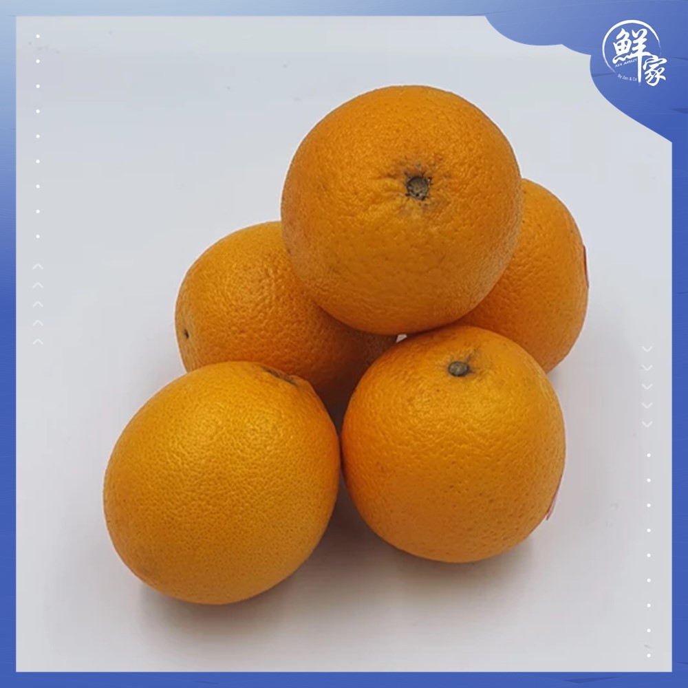 Fresh Orange /Oren 5 Piece | Shopee Malaysia