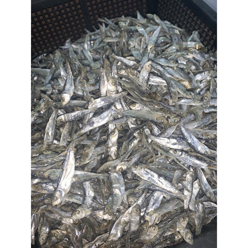 ANAK IKAN TAMBAN TG DAWAI 💥 | Shopee Malaysia