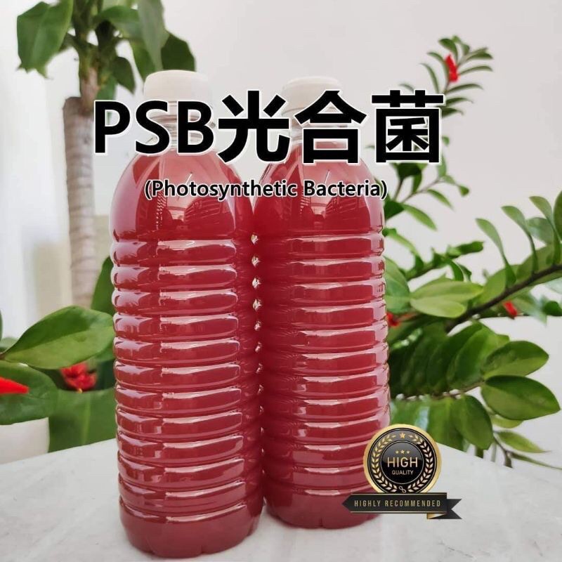 光合菌psb 1500ml (photosynthetic bacteria) | Shopee Malaysia