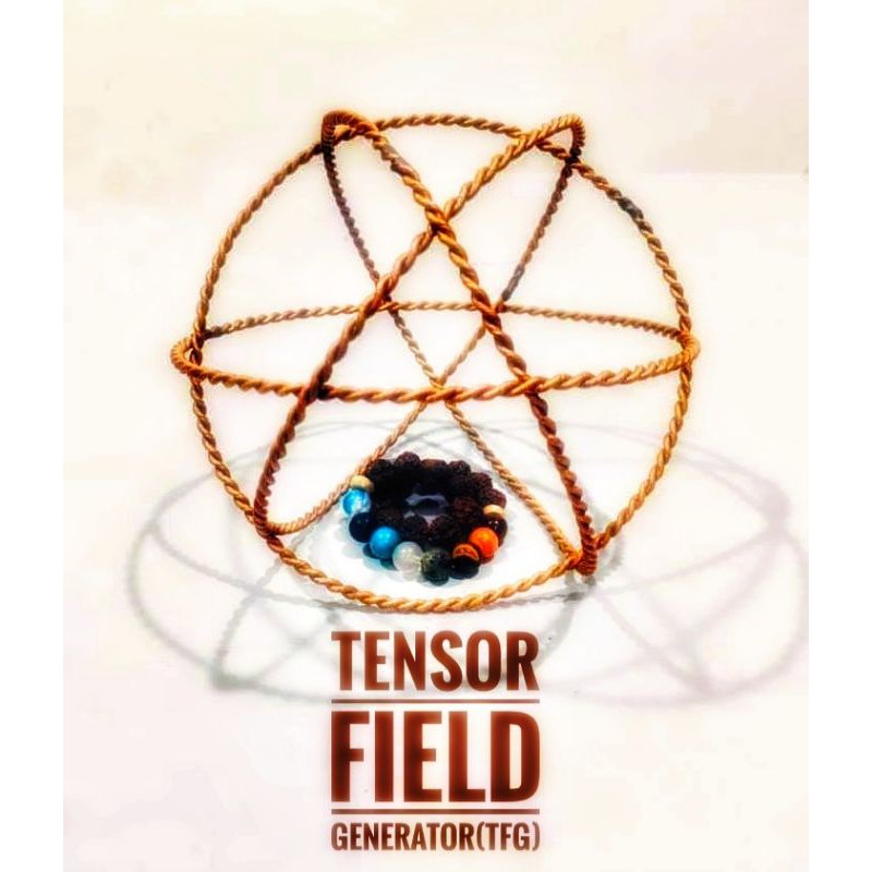 Tensor Field Generator(TFG) | Shopee Malaysia