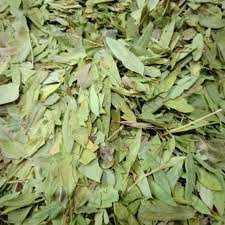 DRIED SENNA LEAF (DAUN POKOK SENNA UTK PERUBATAN/100G PER PACKET ...