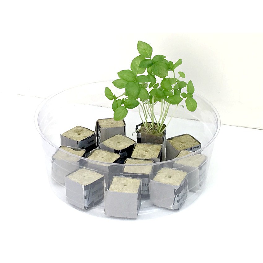 ☀🔥 10 pcs Rockwool Cube Seedling Semai Benih Hydroponic Rock Wool - 3cm ...