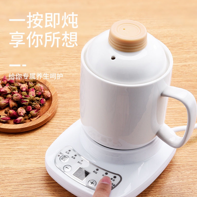 Multifunctional Health Cup Electric Stew Cup Office Small Electric ...