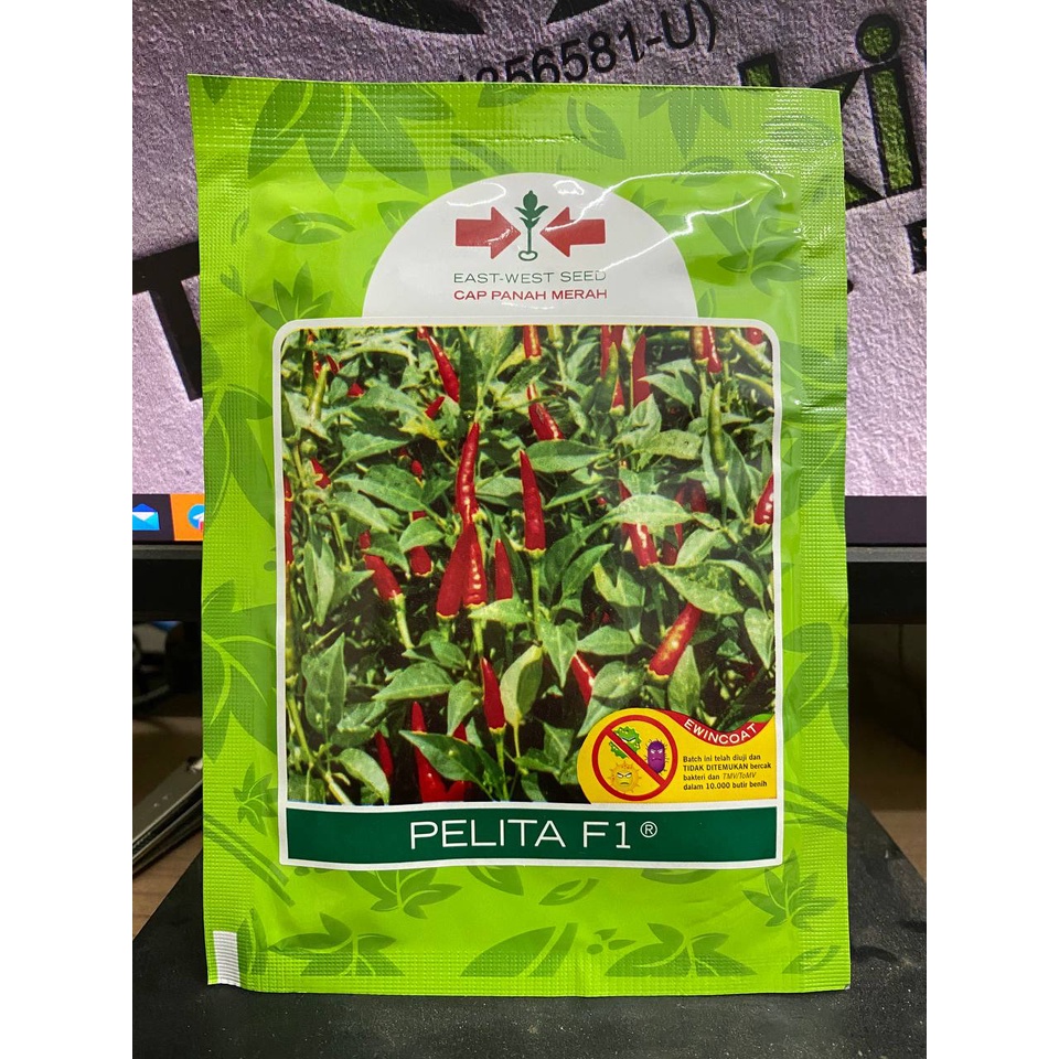 Biji Benih Cili PELITA Hibrid F1 Cap Panah Merah/East West (2250 biji ...