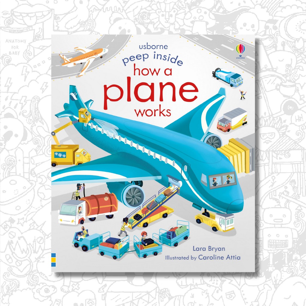Usborne Book - Peep Inside - Flip Flap - How a Plane Works | Kids book ...