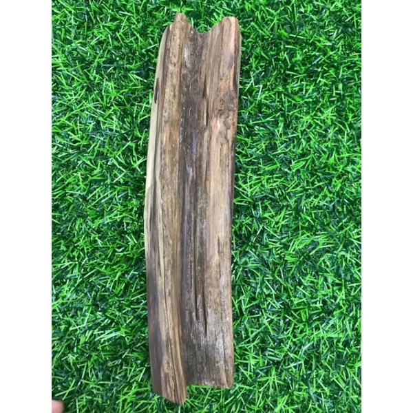 Malaysia - Kayu Menang | Shopee Malaysia