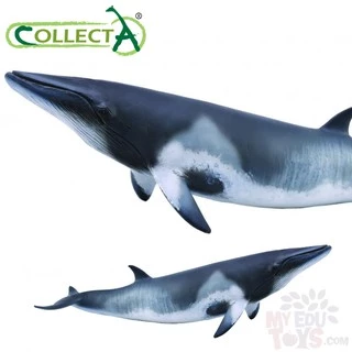 collecta - Prices and Promotions - Jan 2026 | Shopee Malaysia