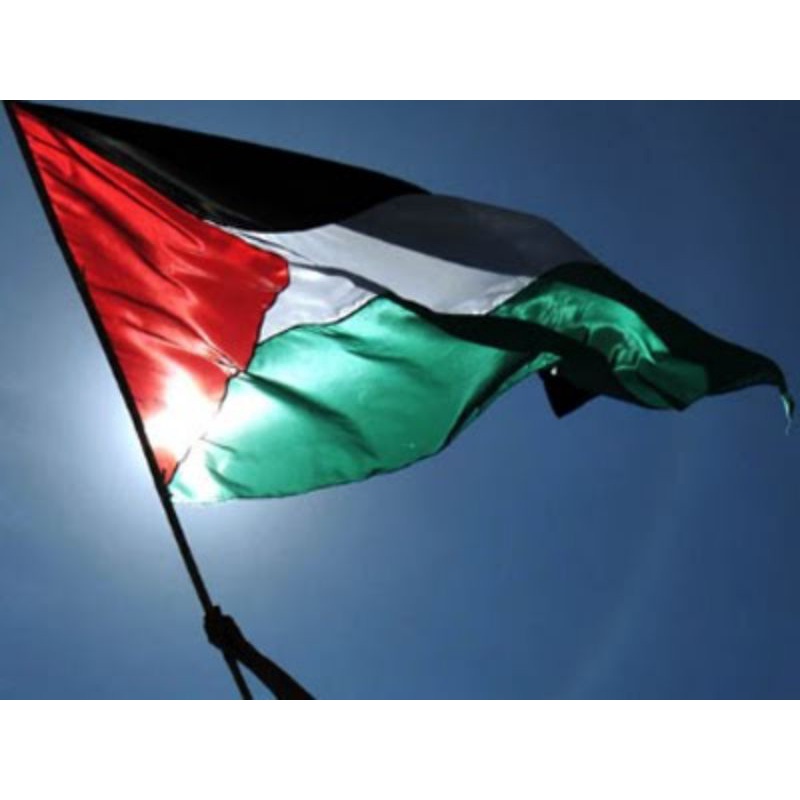 Bendera Palestine (2.5 x 5 kaki) Solidarity for Palestine flag | Shopee ...