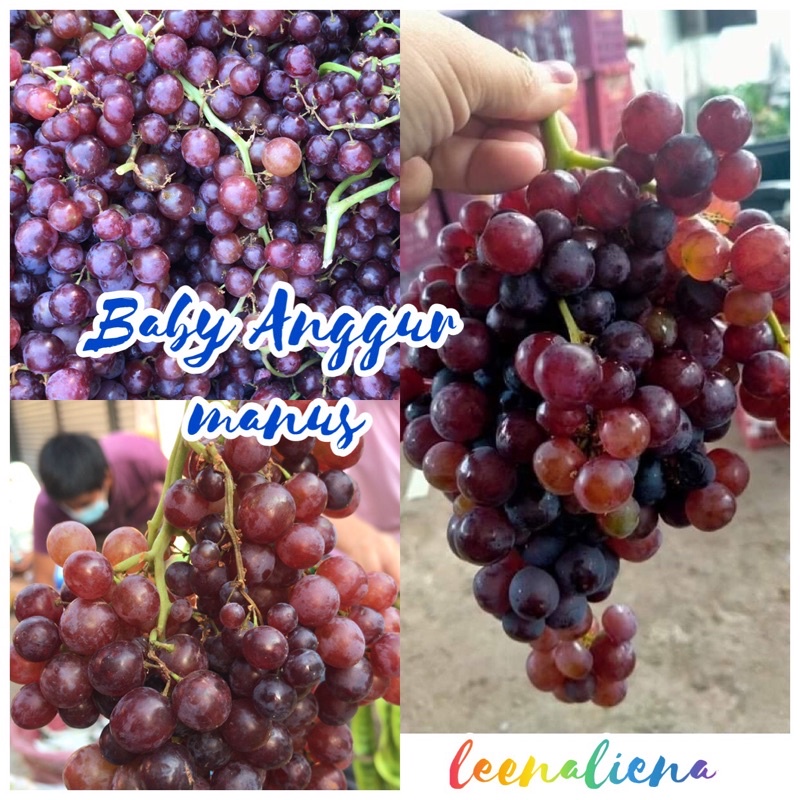 BABY ANGGUR MANIS LETING 1 KILO | Shopee Malaysia