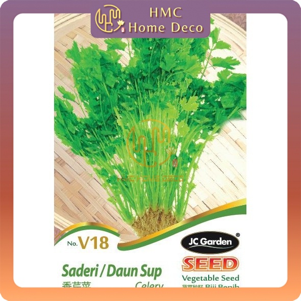 V18 CALERY JC GARDEN VEGETABLE SEED BIJI BENIH SADERI / DAUN SUP ...